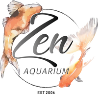 For Sale Butterfly & Japanese Koi Fish Online | Zen Aquarium – Zen ...